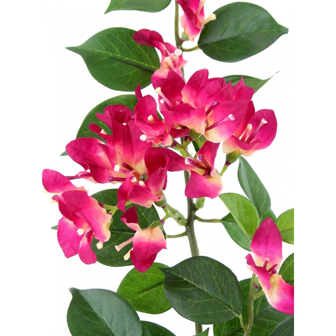 Tige de bougainvillée artificielle fleurie 80 cm - Feuillage fleuri ...