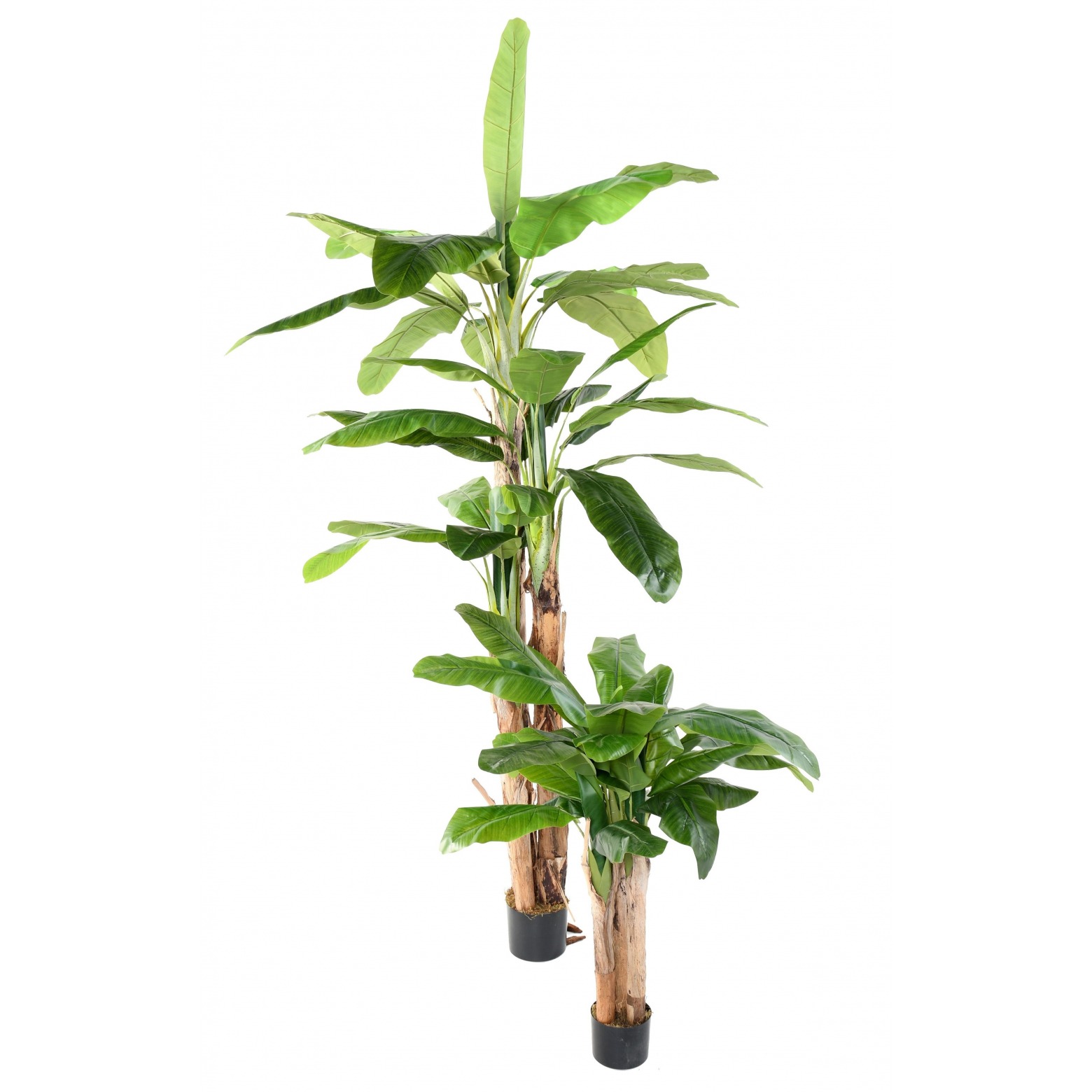 Bananier artificiel à trois troncs - Bananiers artificiels - Artiplantes