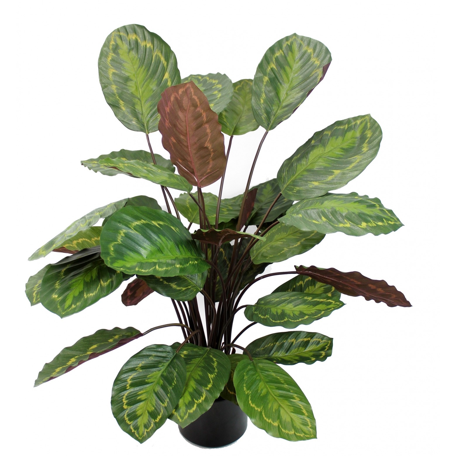 Calathea artificiel rosea picta 70 cm - Plantes vertes artificielles ...