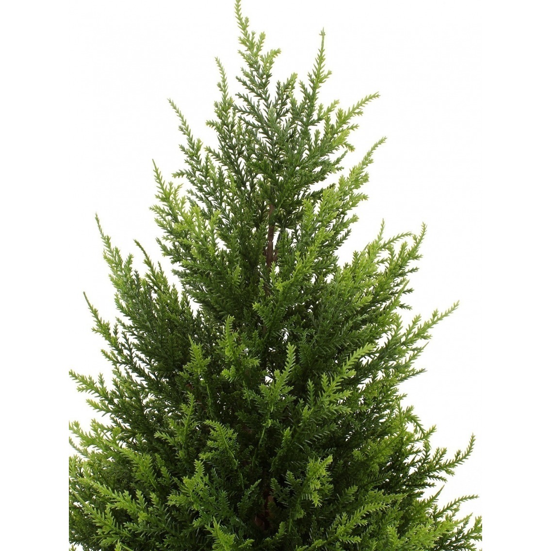 Mini cyprès artificiel 65 cm - Cyprès artificiels - Artiplantes