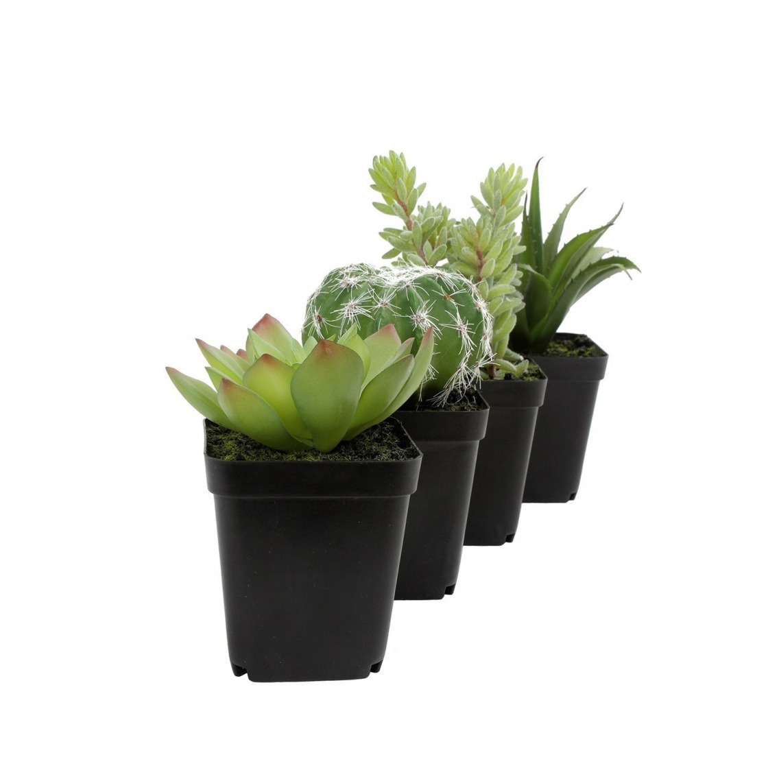 Mini agave artificiel en pot 12 cm - Plantes grasses artificielles ...